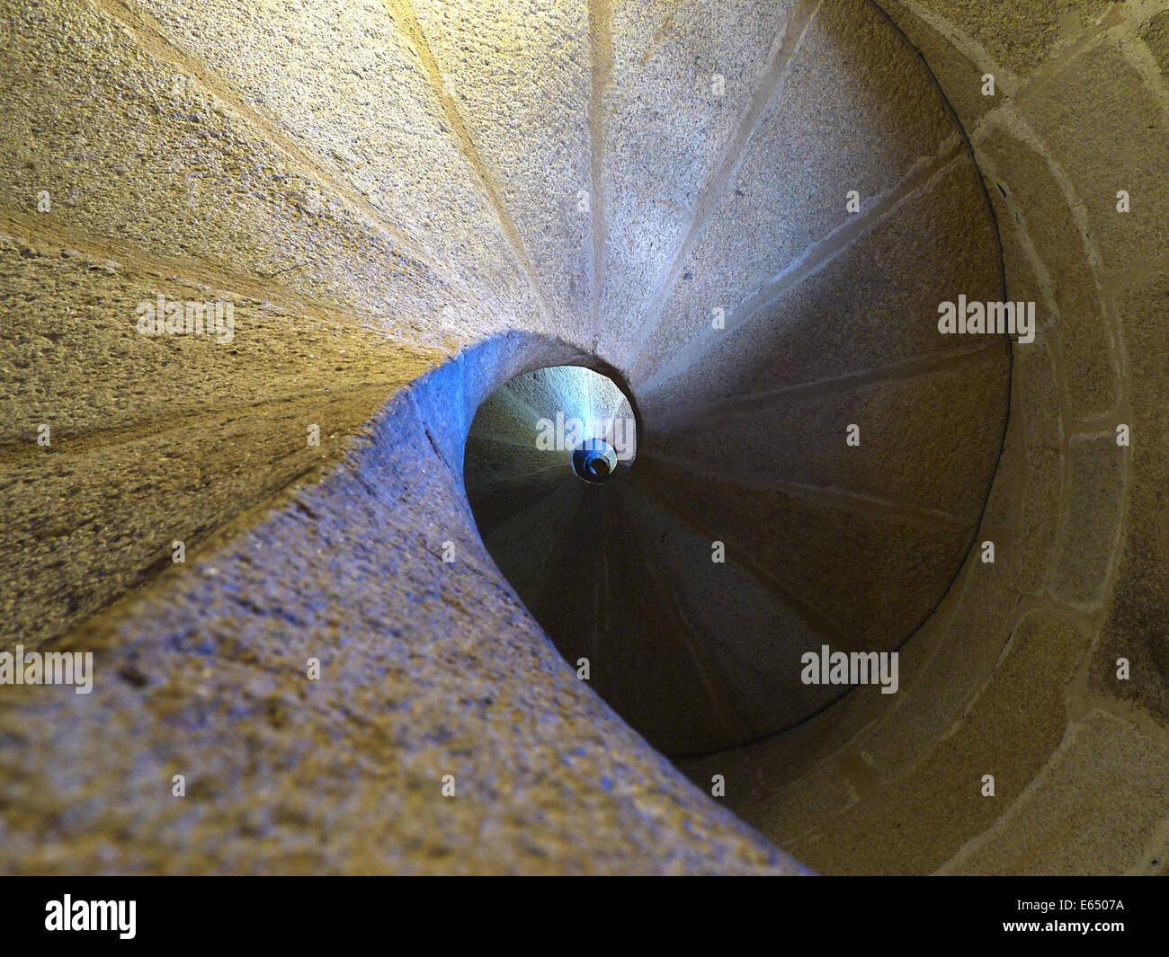 Spiral snail hi-res stock photography and images - Alamy