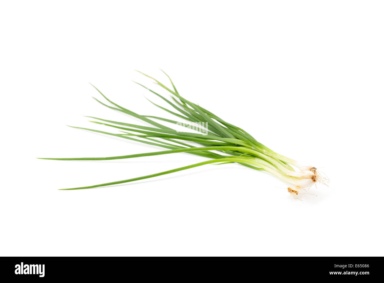 spring onion or chive isolated o white background Stock Photo - Alamy