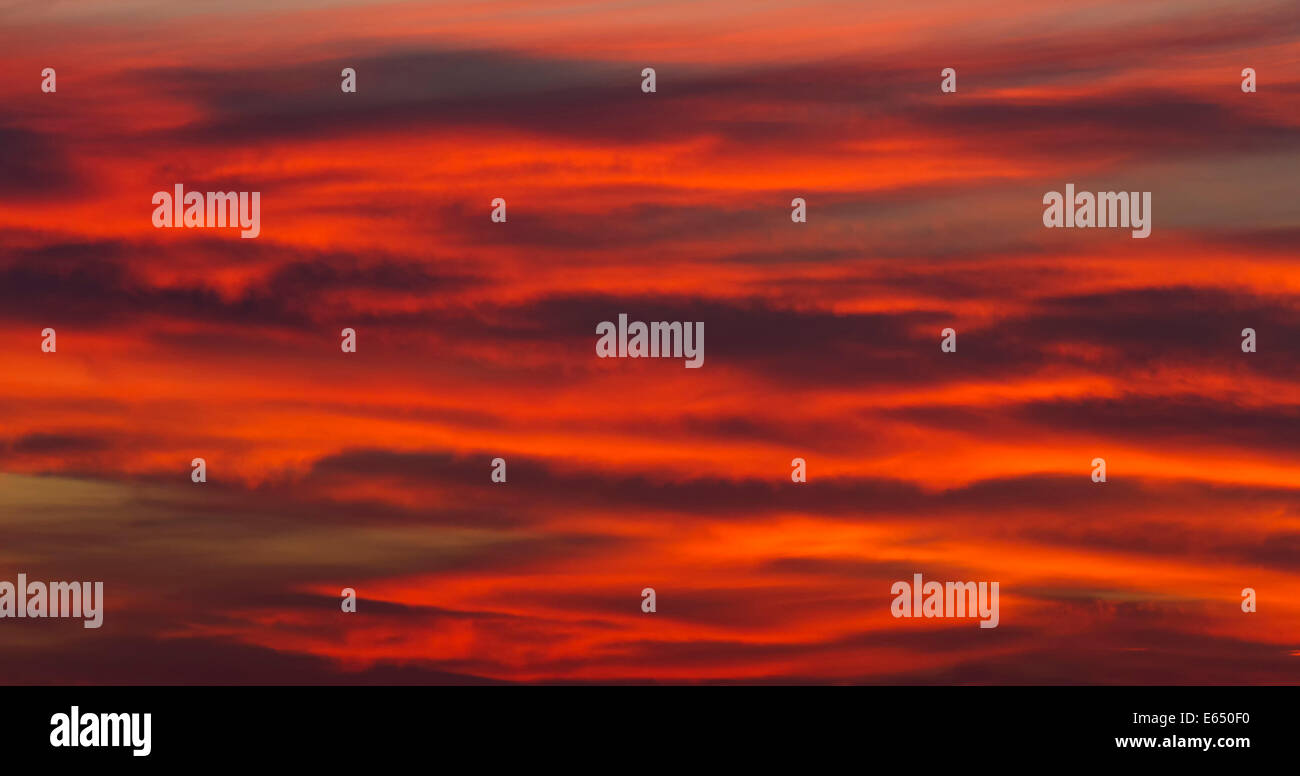 Stratocumulus clouds at sunset hi-res stock photography and images - Alamy