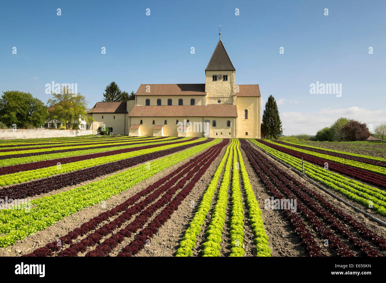 Reichenau island hi-res stock photography and images - Alamy