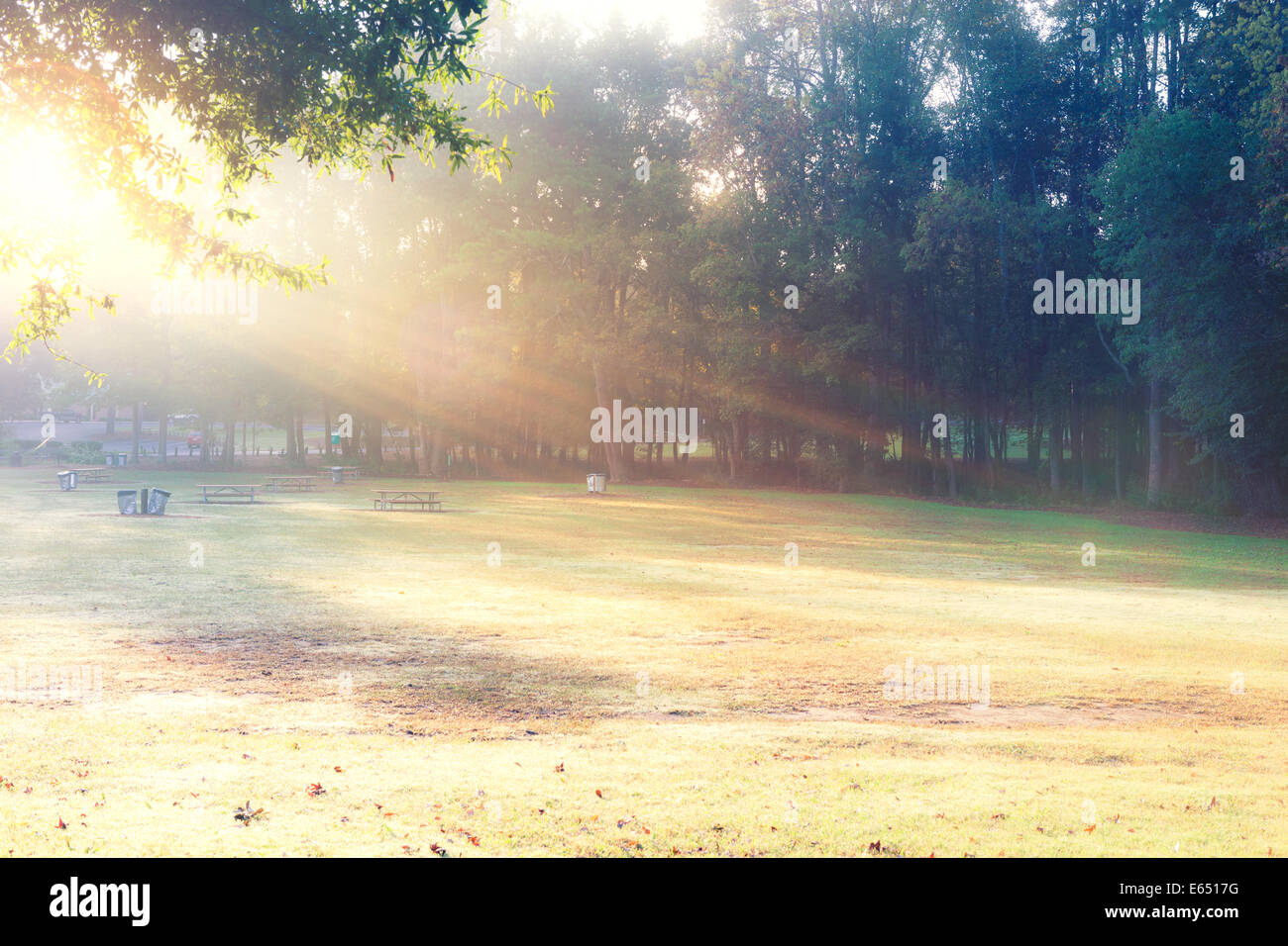 Beautiful park morning view Stock Photo - Alamy