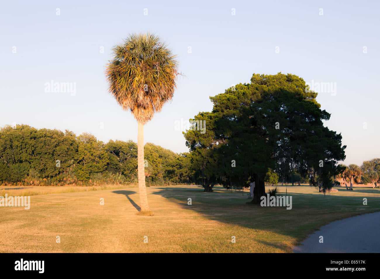 Beautiful park summer view Stock Photo - Alamy