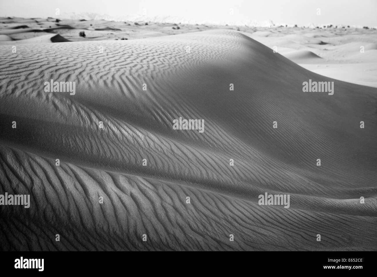 Arabian Desert, Dubai Stock Photo - Alamy