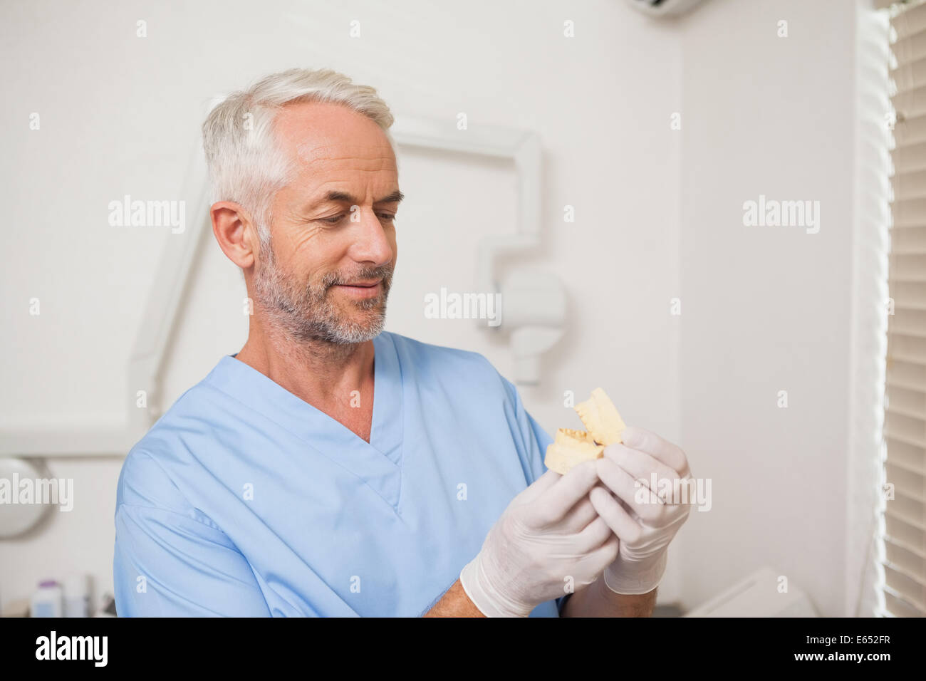 Dentist in blue scrubs looking at mouth model Stock Photo - Alamy