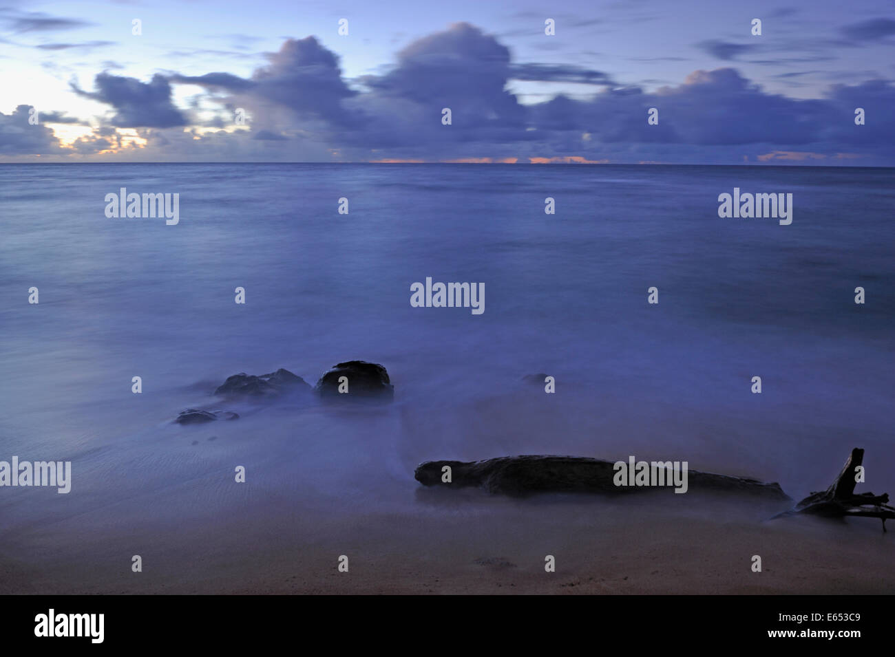 Maui Island, Hawaii, USA - Tree trunk and rocks partially submerged in ...