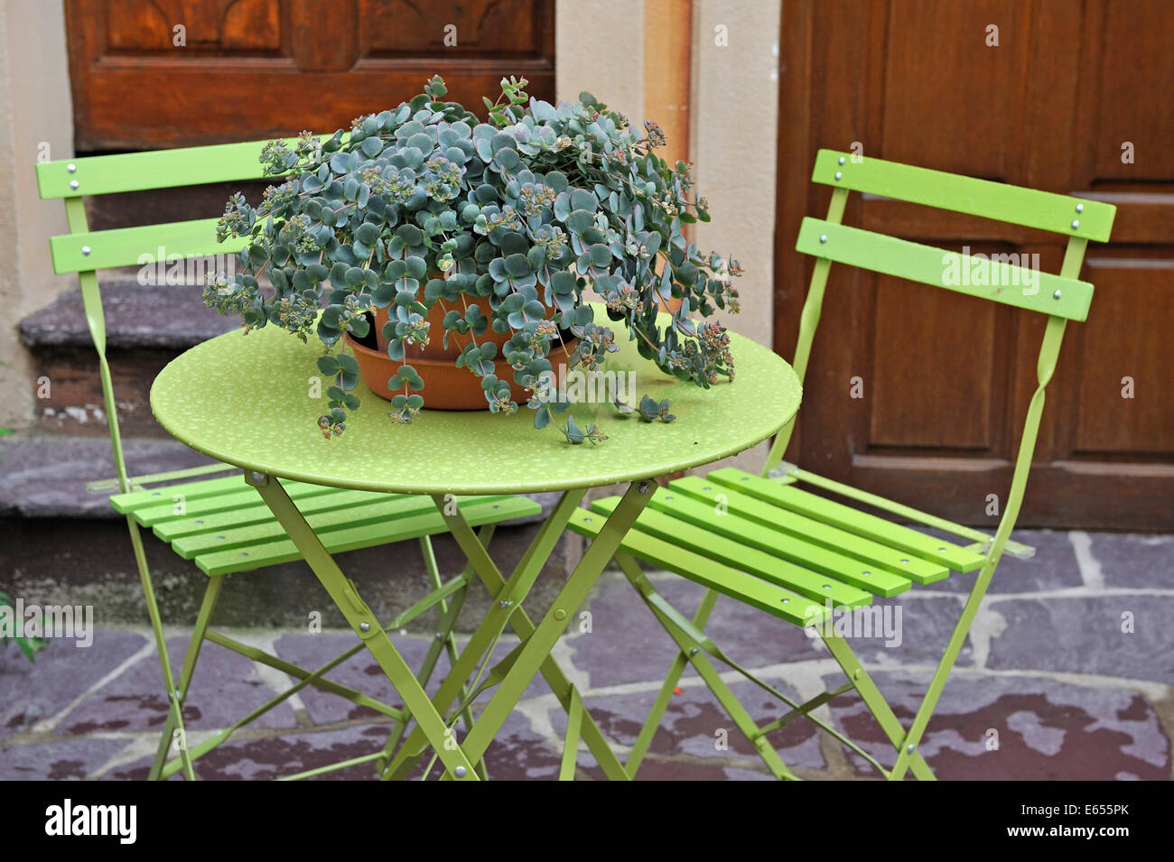 Green chairs and table with plant in a pot outdoors Stock Photo - Alamy