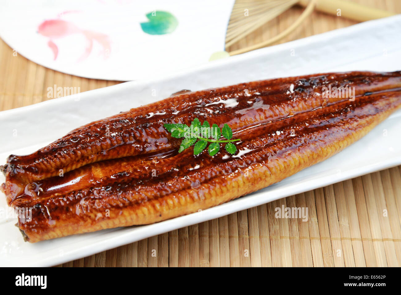 Eel dog hi-res stock photography and images - Alamy