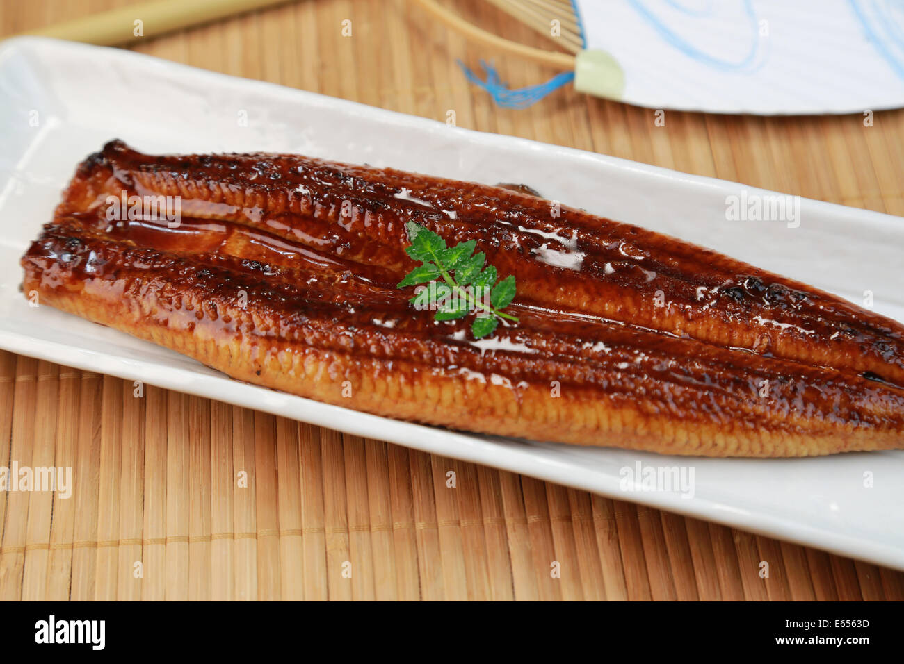 Eel dog hi-res stock photography and images - Alamy