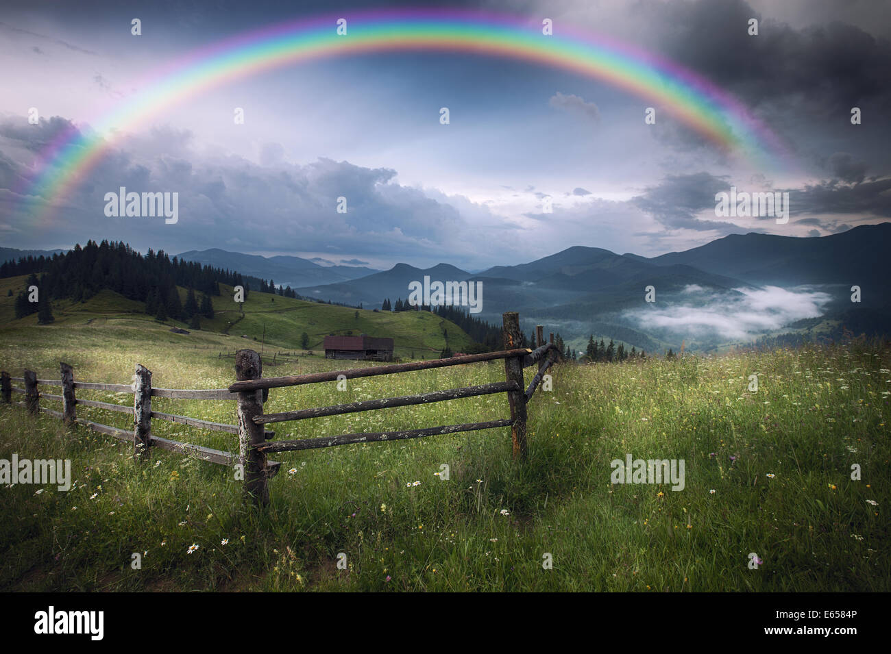 Mountains and wood after the rain hi-res stock photography and images ...