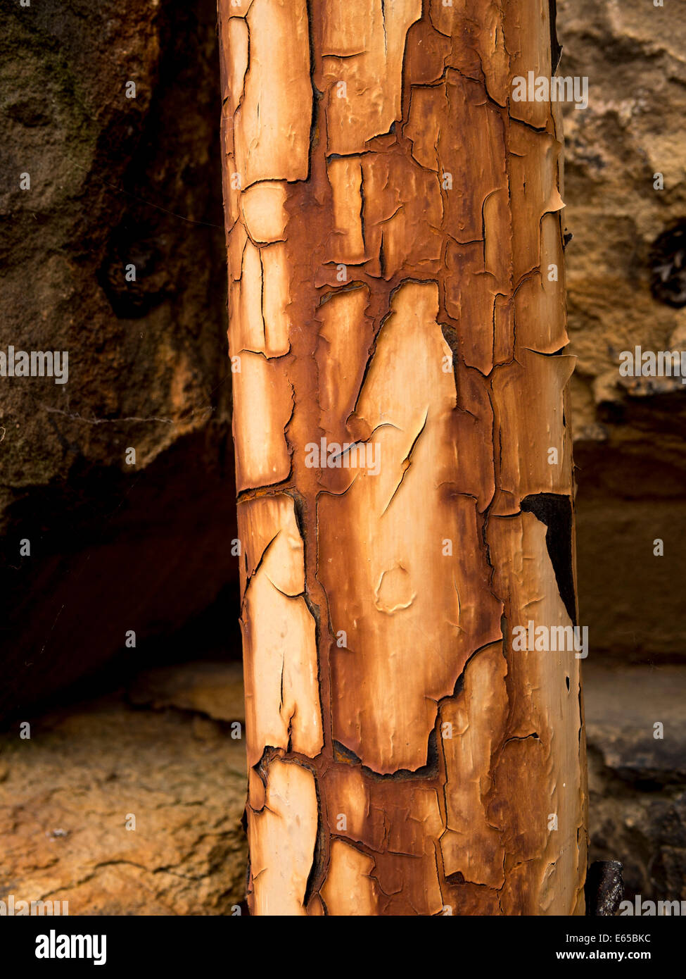 Rusty drain pipe hi-res stock photography and images - Alamy