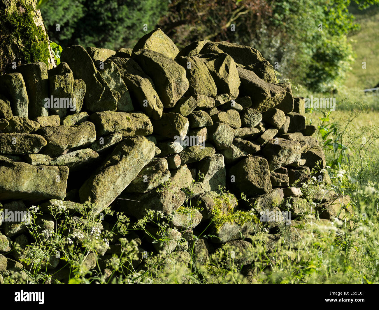 Dry stone wall derbyshire hi-res stock photography and images - Alamy