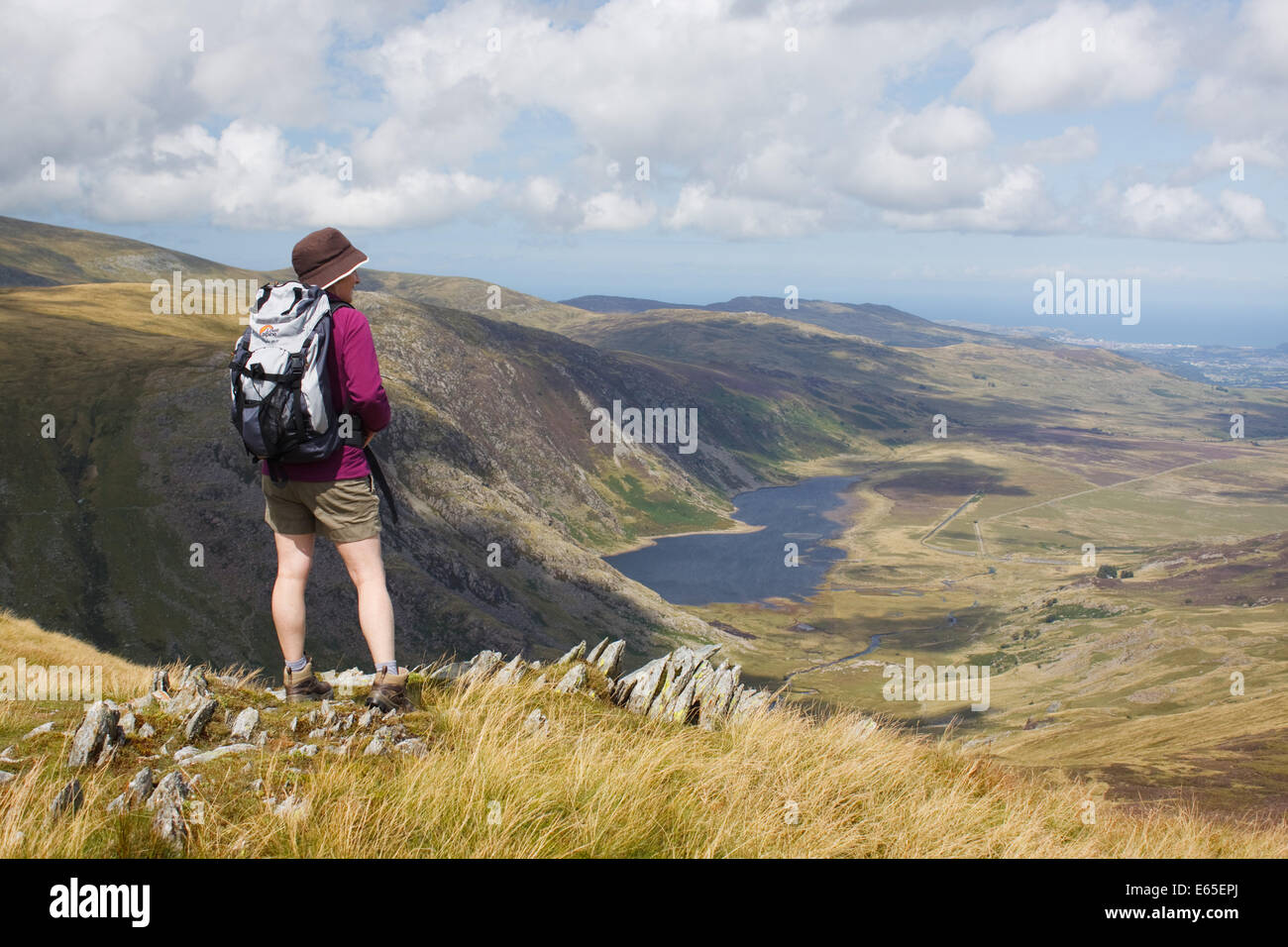 A female walker enjoying the mountains of the Carneddau range in ...