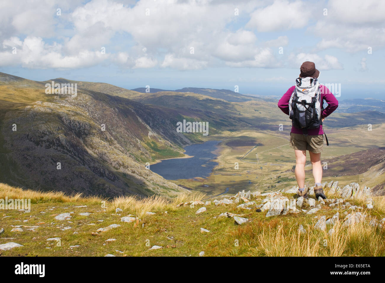 A female walker enjoying the mountains of the Carneddau range in ...