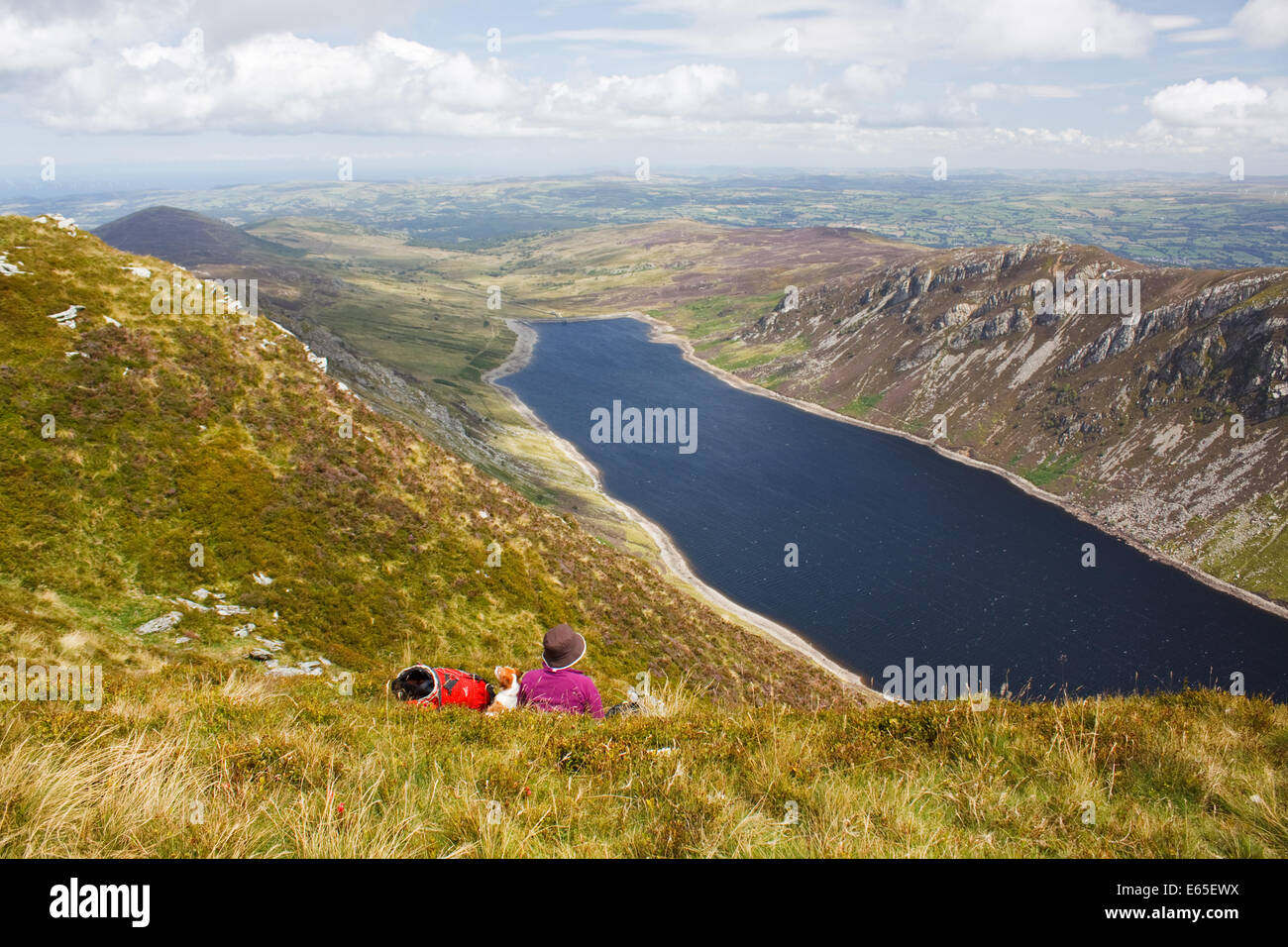 A female walker and her dog looking at the Cowlyd Reservoir in the ...