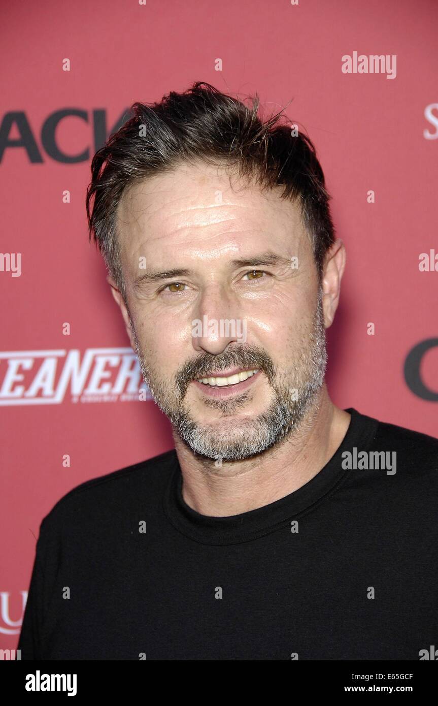 Los Angeles, CA, USA. 14th Aug, 2014. David Arquette at arrivals for ...