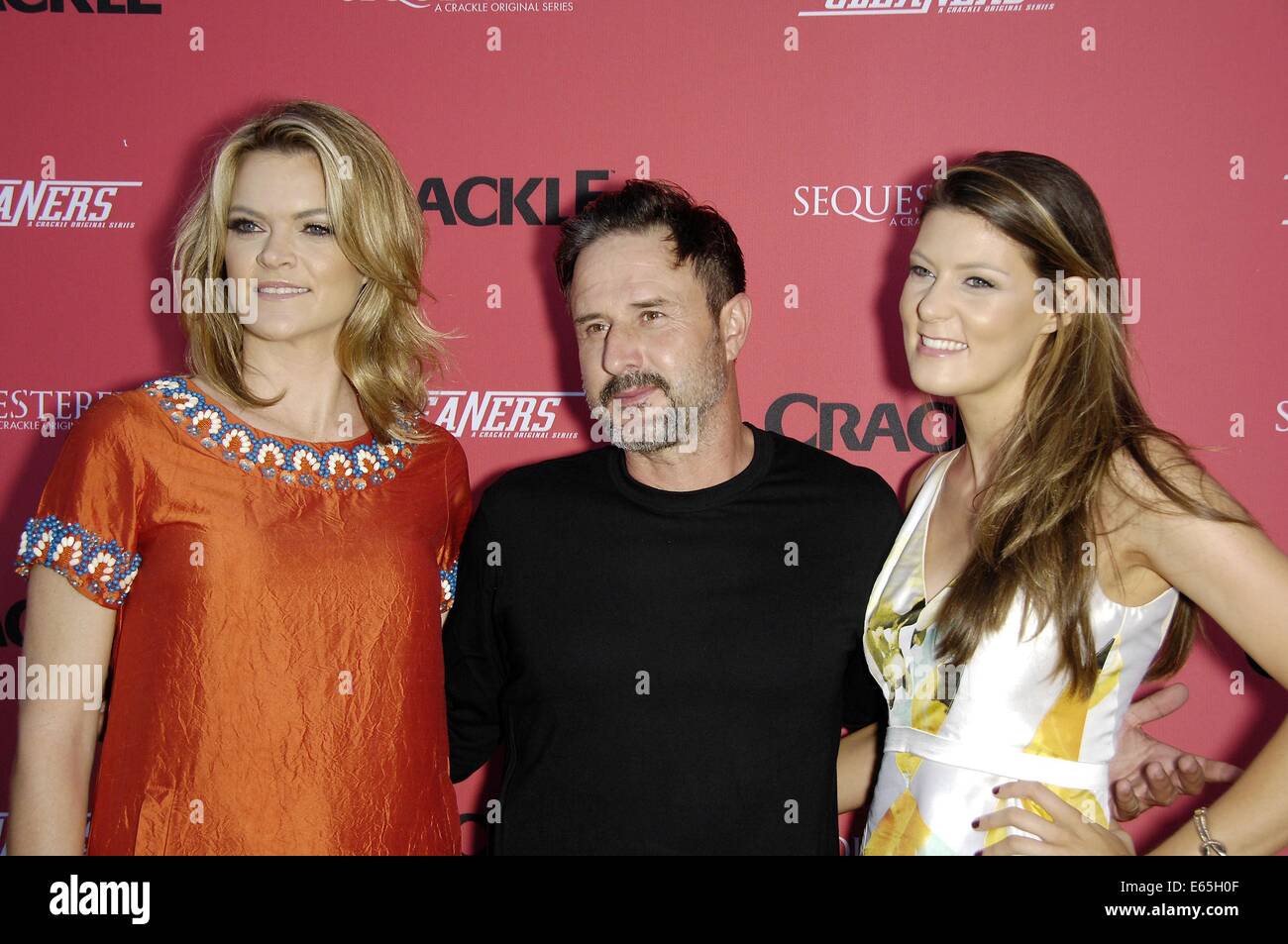 Los Angeles, CA, USA. 14th Aug, 2014. Missy Pyle, David Arquette ...