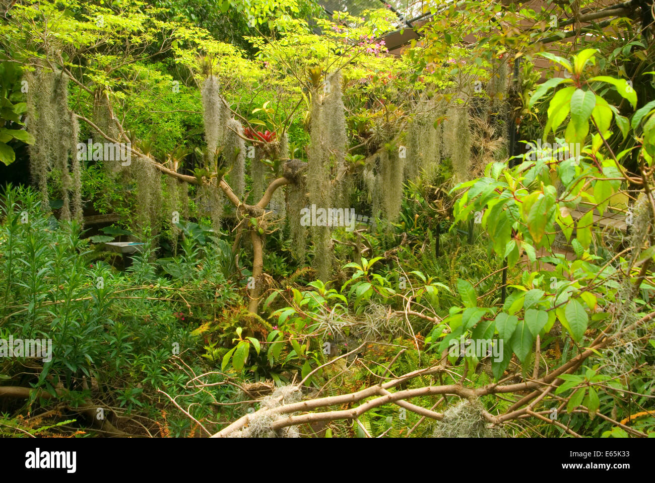 Hummingbird Aviary, San Diego Zoo, Balboa Park, San Diego, California ...