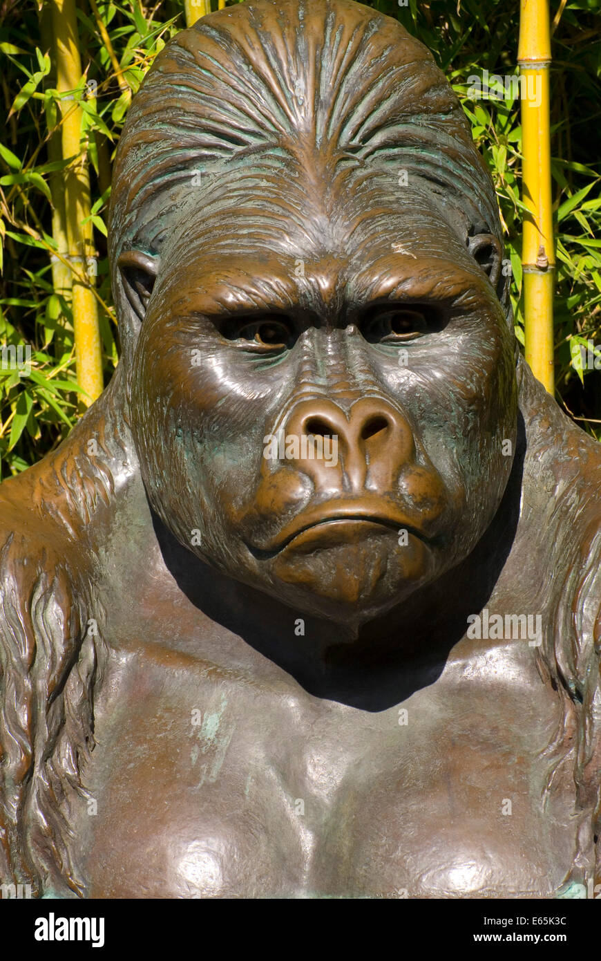 Gorilla statue, San Diego Zoo, Balboa Park, San Diego, California Stock ... Gorilla statue, San Diego Zoo, Balboa Park, San Diego, California Stock ...