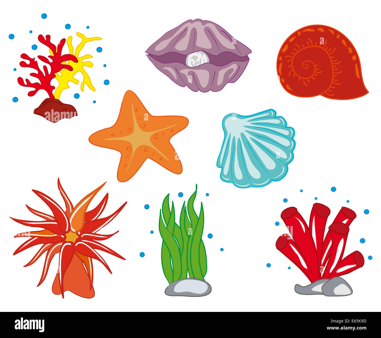 Deep sea flora and fauna hi-res stock photography and images - Alamy