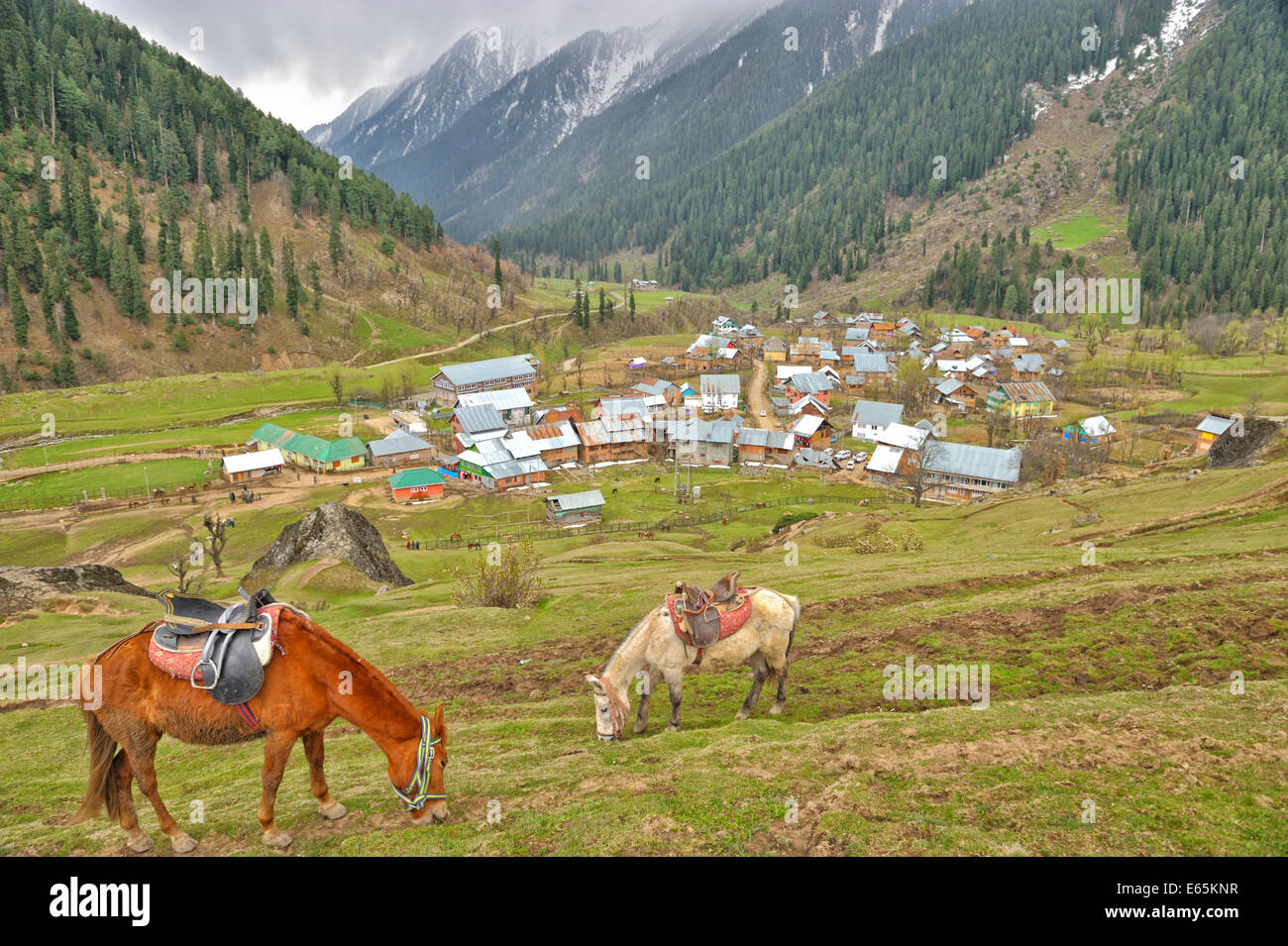 Aru valley, Pahalgam Stock Photo - Alamy
