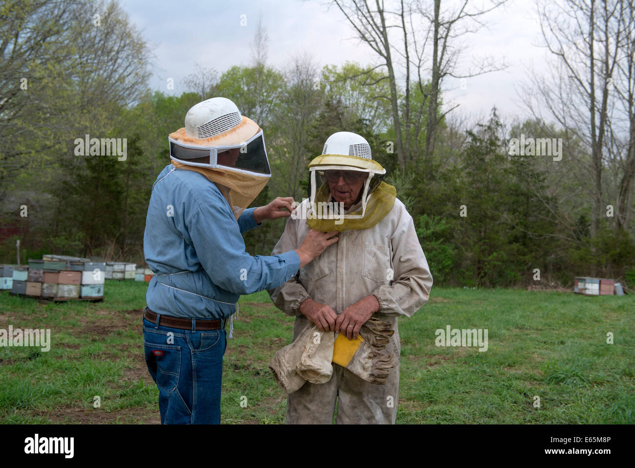 RollieHannan, Jr., beekeeper, helps his father put on his bee suit to ...
