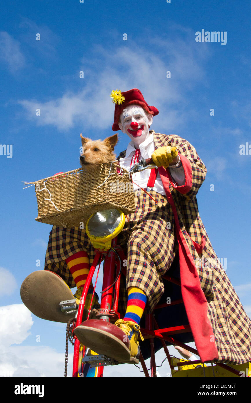 Dog Clown High Resolution Stock Photography and Images - Alamy
