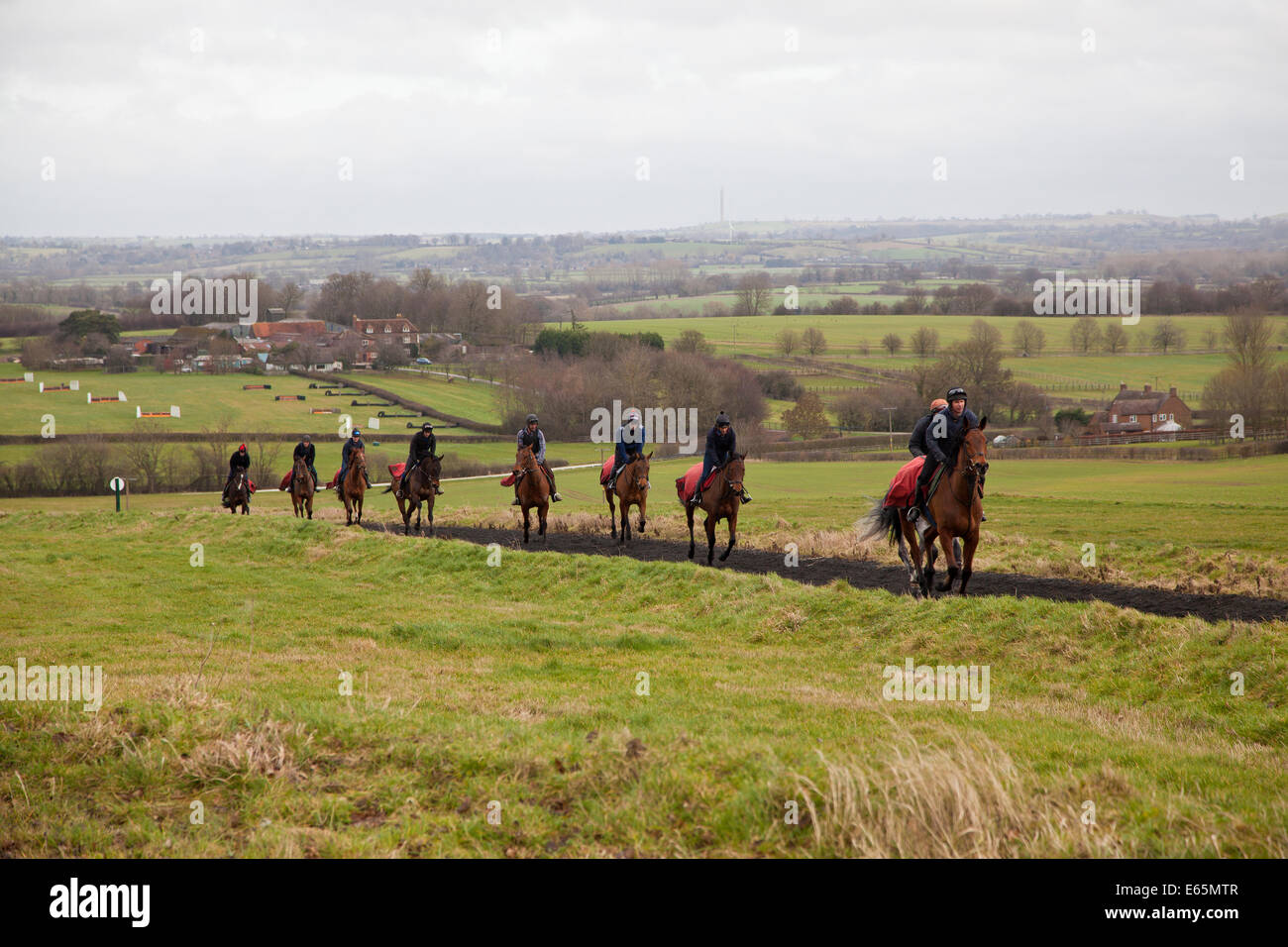 Training racehorses hi-res stock photography and images - Alamy