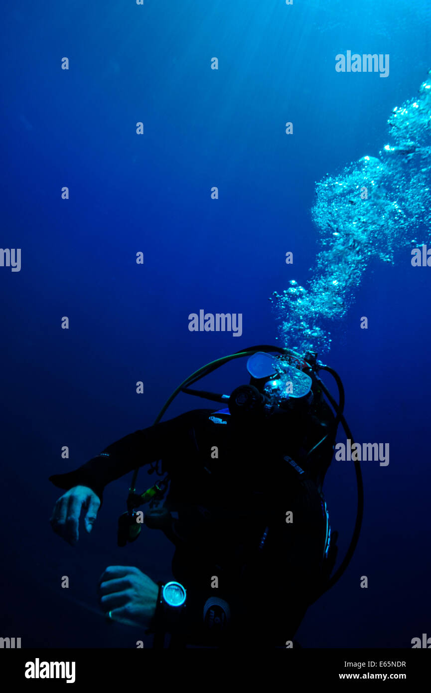 Diver to surface hi-res stock photography and images - Alamy