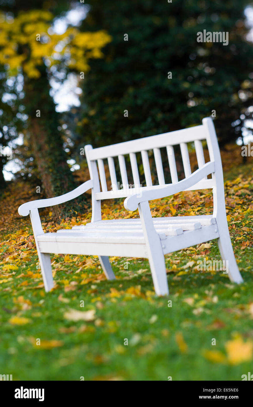 Fall off autumn leaves in the garden hi-res stock photography and ...