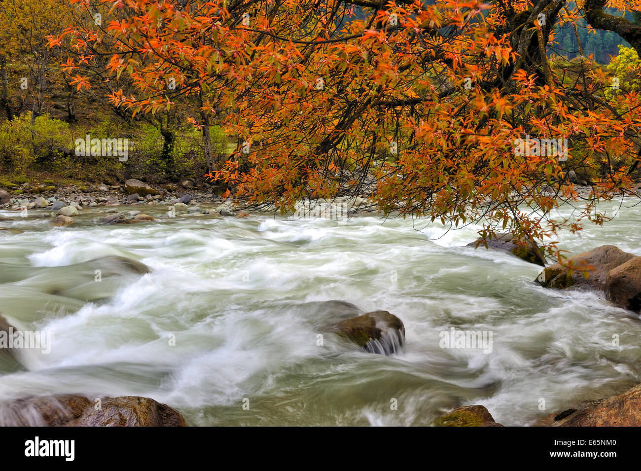 Sonamarg tourism hi-res stock photography and images - Alamy