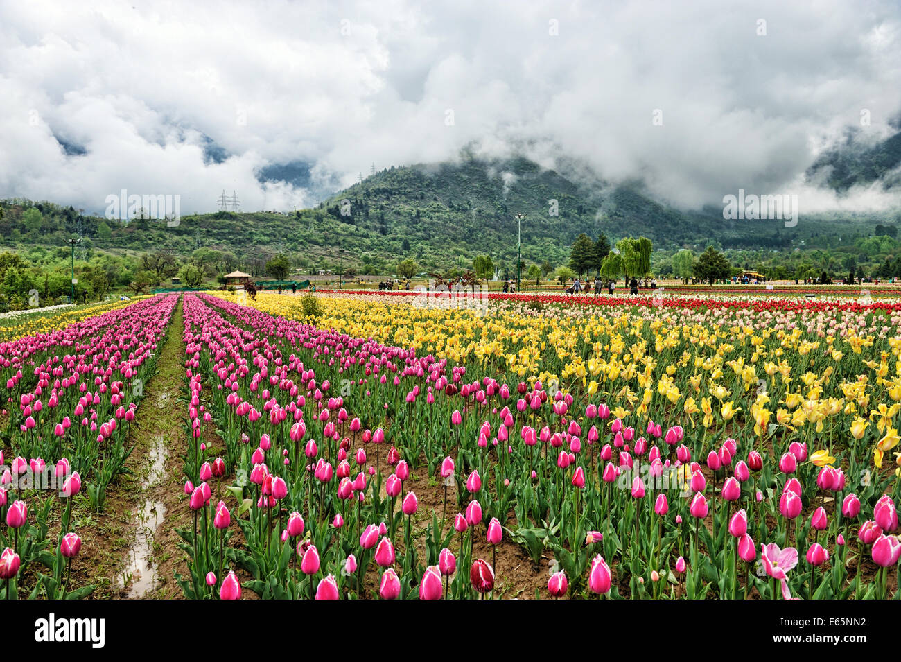 Zabarwan hill hi-res stock photography and images - Alamy