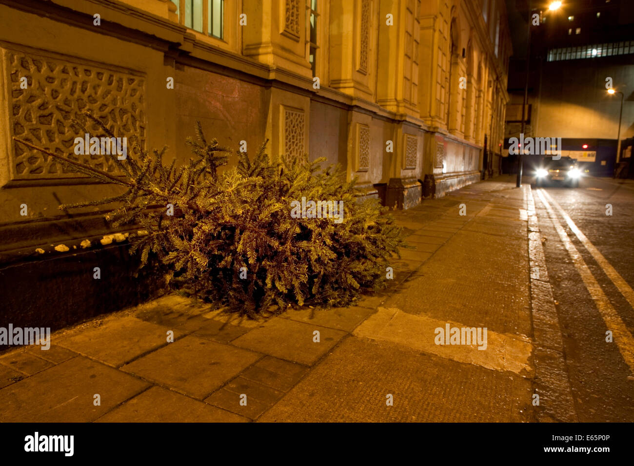 End of festivities christmas tree sadness abandoned unloved unwanted hi ...