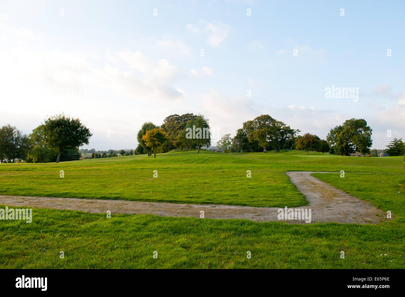 Small footpath and green grass field Stock Photo - Alamy