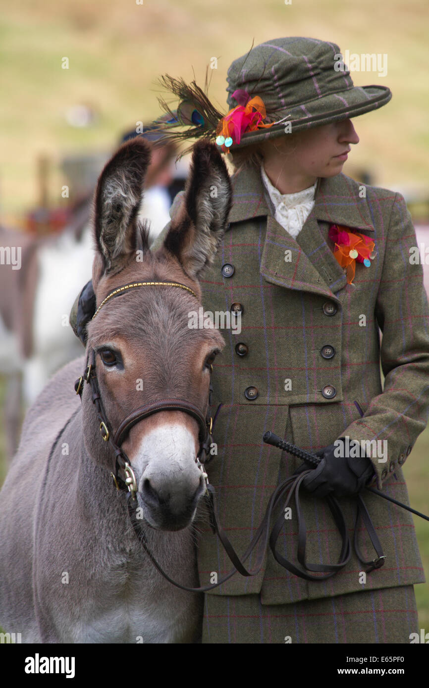 The Ellingham & Ringwood Agricultural Society Annual Show at Somerley ...