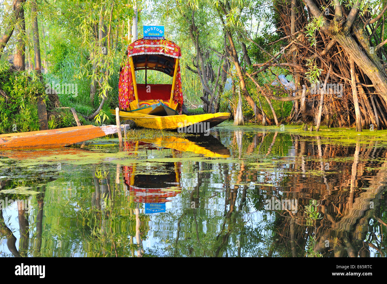 Colorful shikara hi-res stock photography and images - Alamy