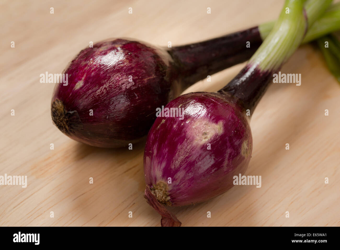 Large salad shallots Allium cepa Stock Photo - Alamy