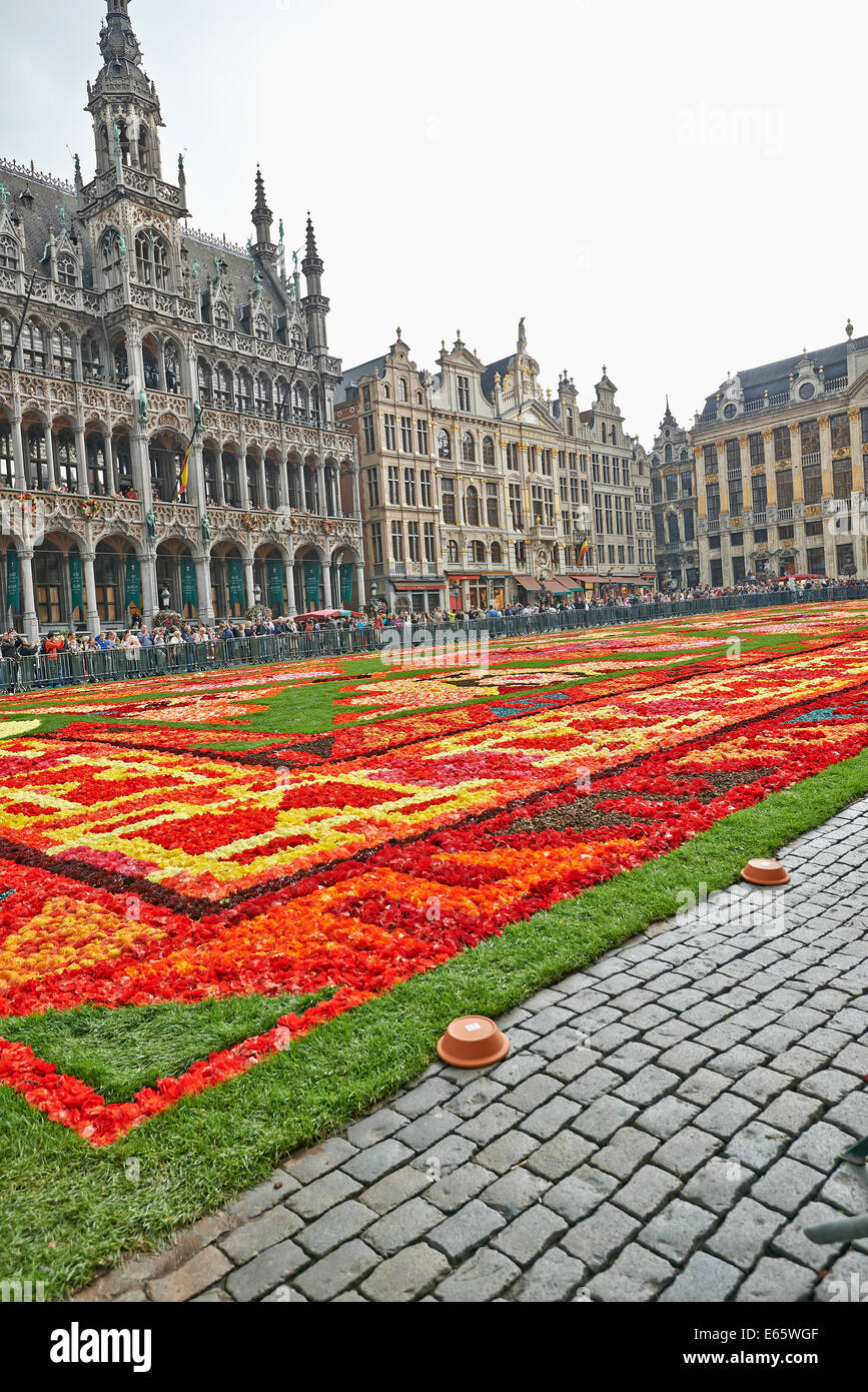 2014 brussels flower carpet hi-res stock photography and images - Alamy
