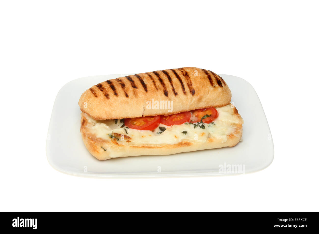 Toasted mozzarella, tomato and basil panini on a plate isolated against ...