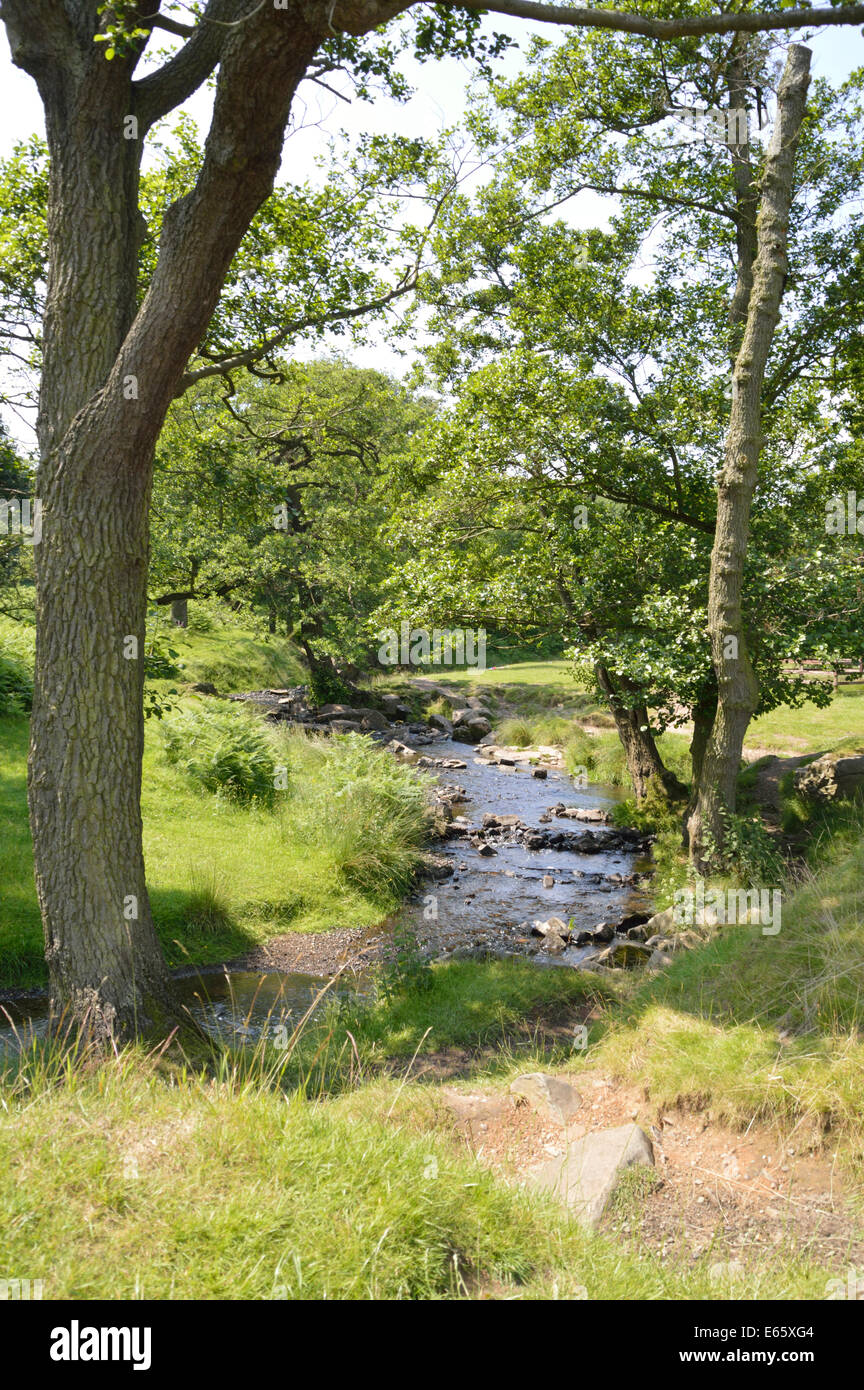 The River Lin running between trees at Bradgate Park in Leicestershire ...