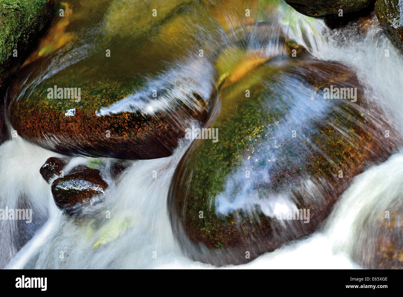 Germany, Bavaria: Water running through stones of the ravine Buchberger ...
