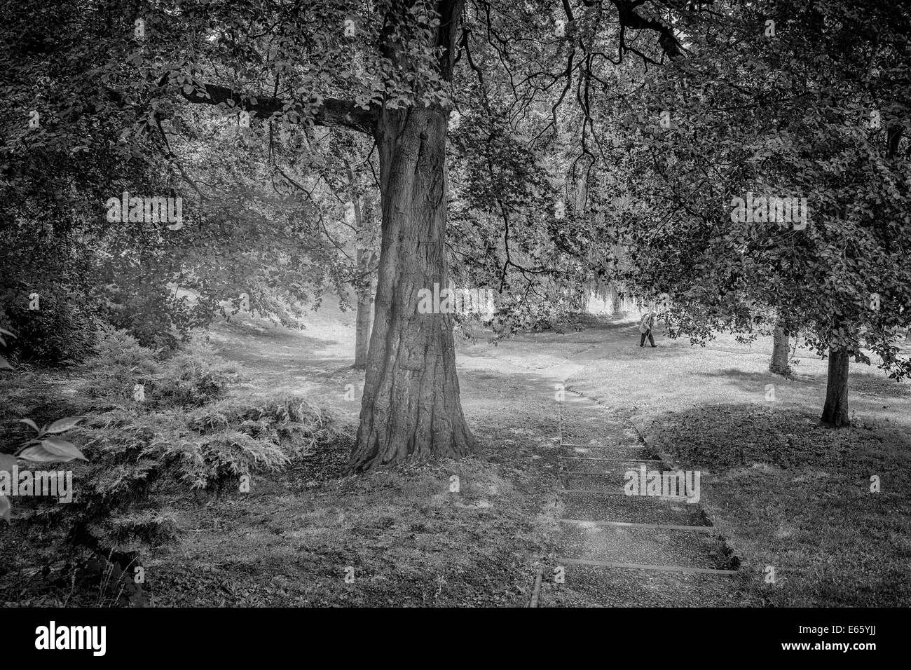 Open public square Black and White Stock Photos & Images - Alamy