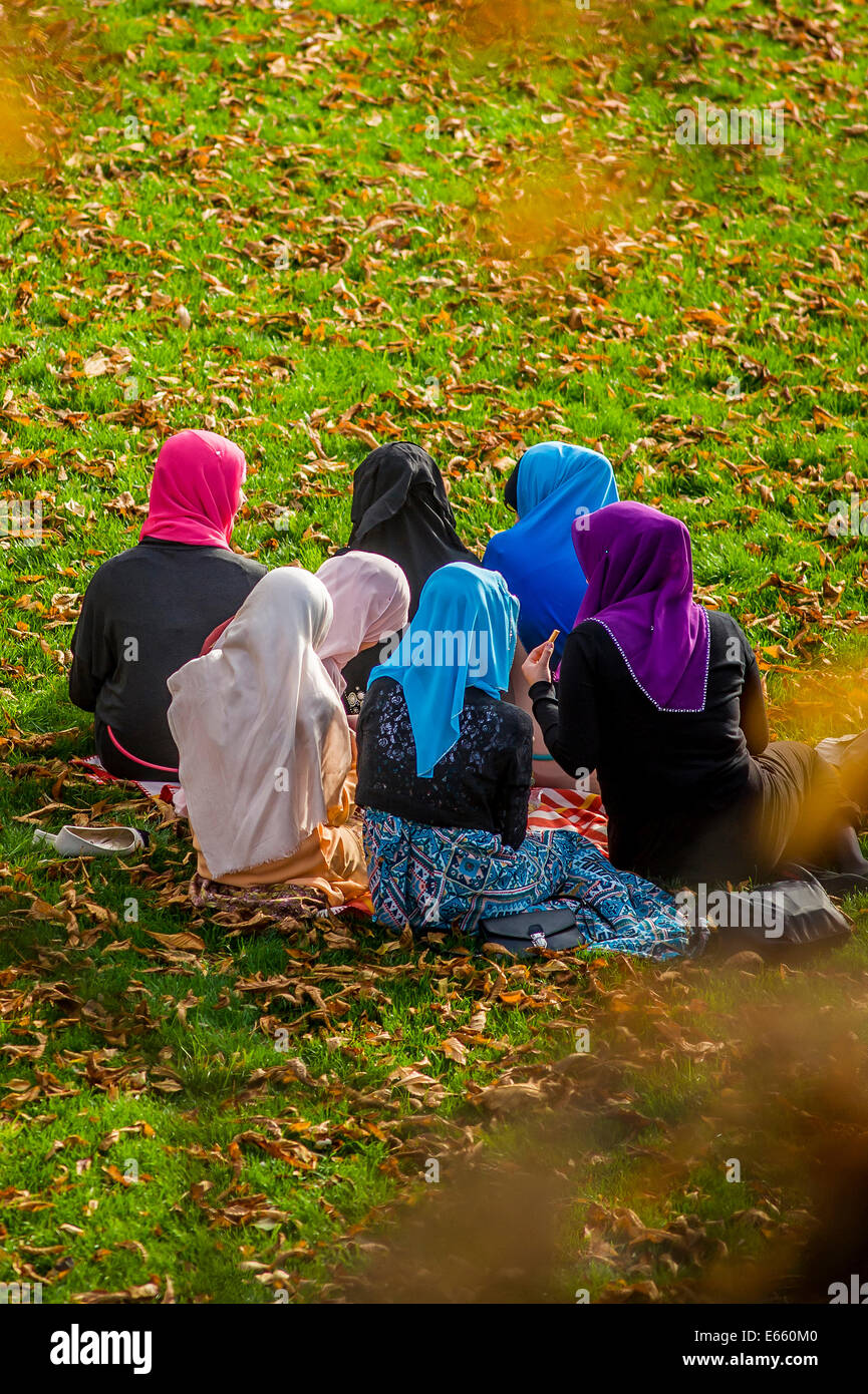 Women in niqab hi-res stock photography and images - Alamy