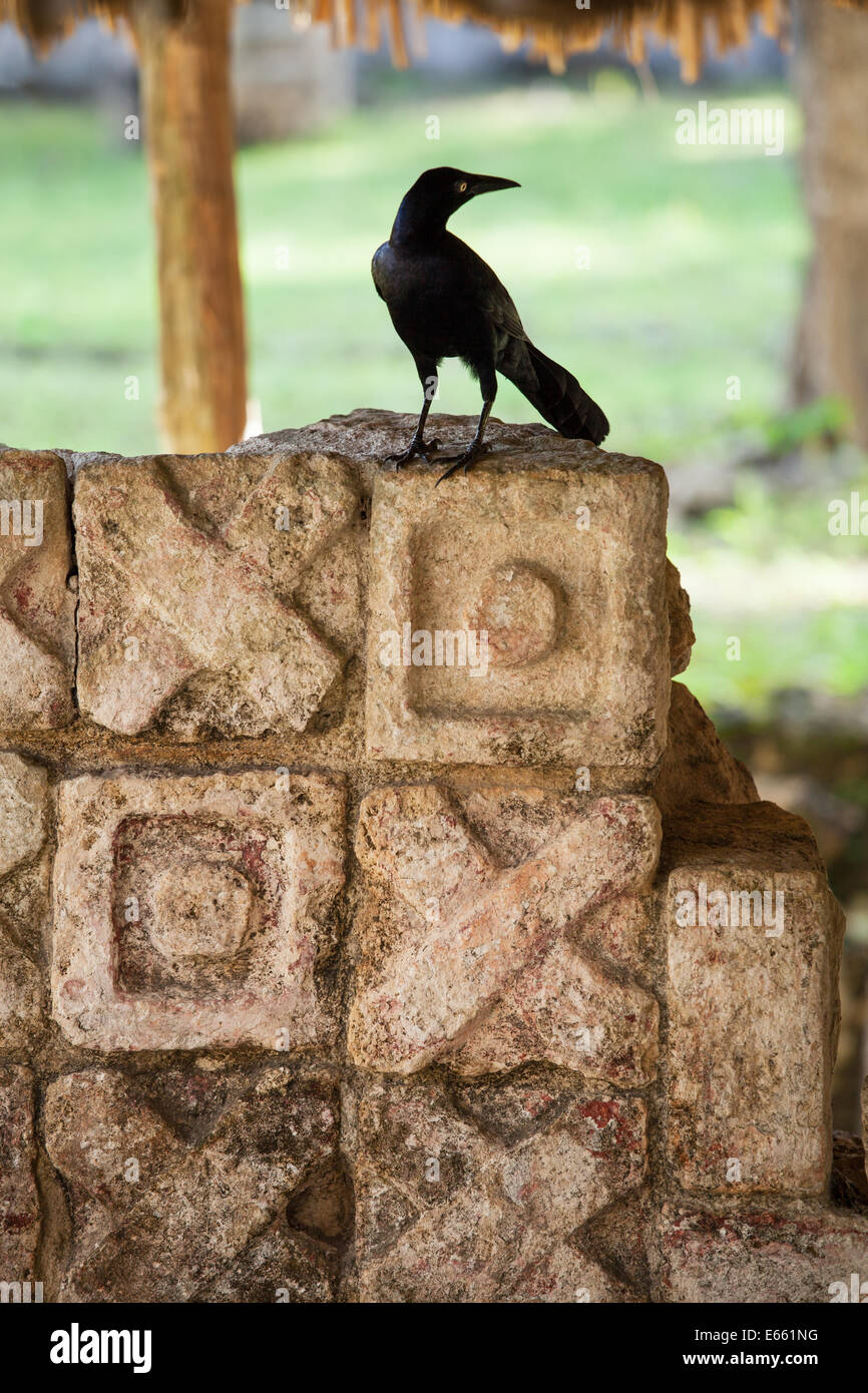 A crow stands atop an ancient tic-tac-toe stone carving at Chichen-Itza ...