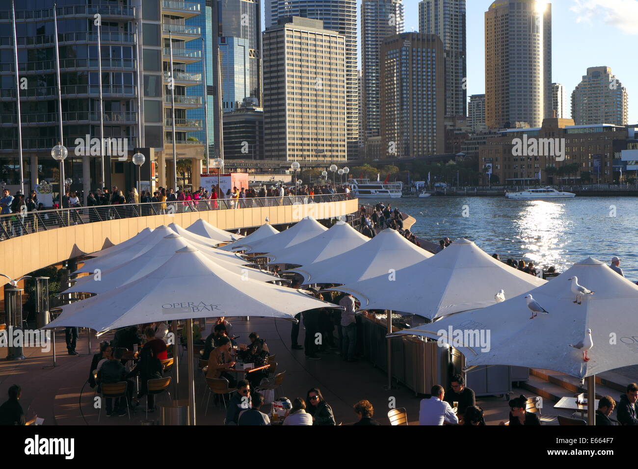 sydney circular quay and locals drinking at the opera bar,sydney ...
