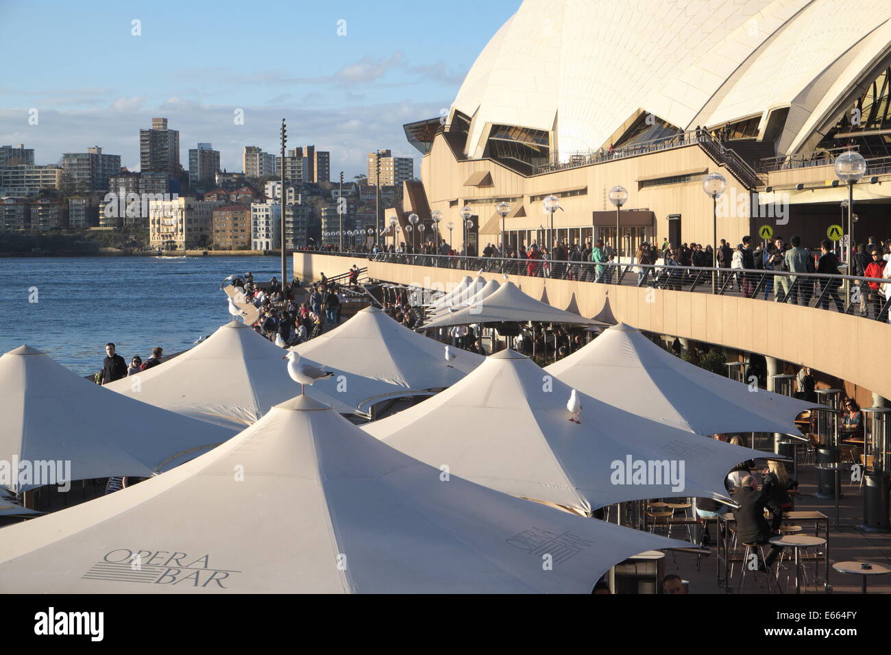 sydney opera house and crowded opera bar, sydney,australia Stock Photo ...