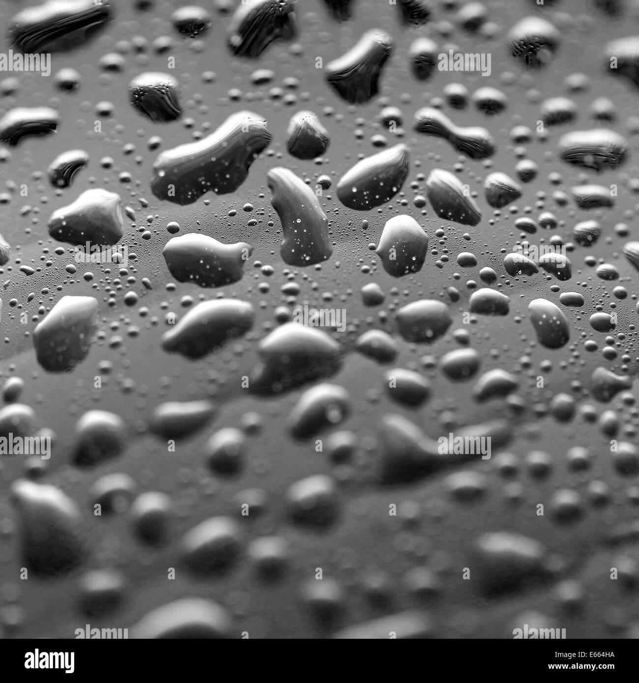Water drops background Black and White Stock Photos & Images - Alamy