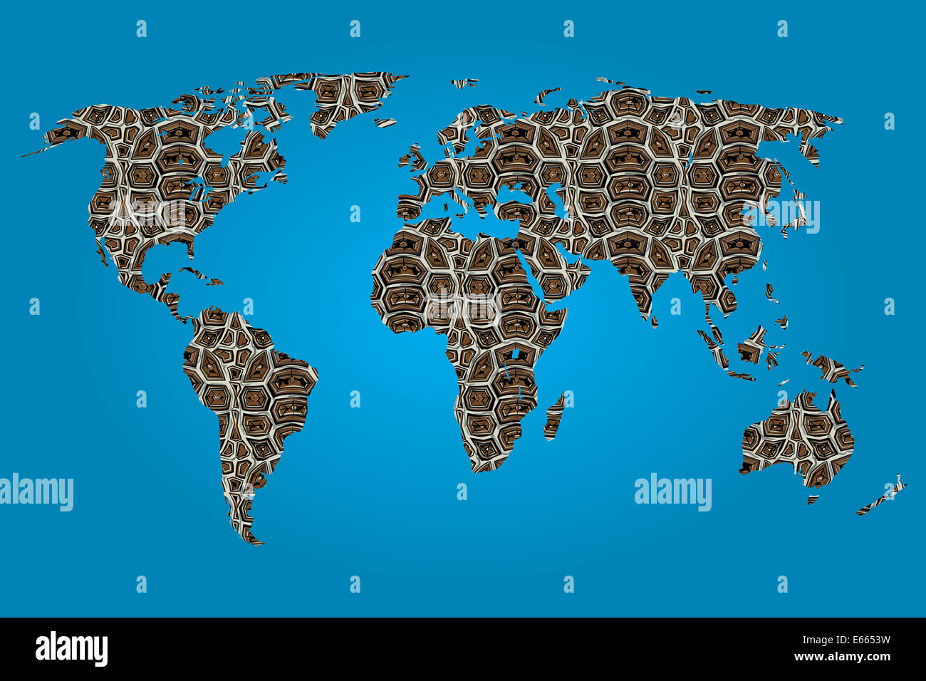 Turtle pattern hi-res stock photography and images - Alamy