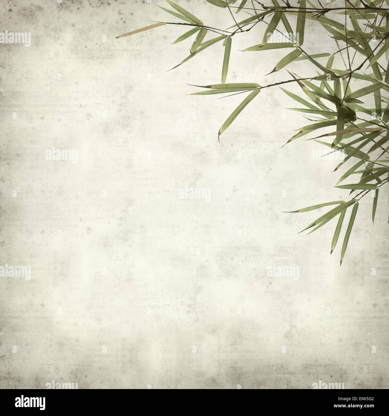 Bamboo paper texture hi-res stock photography and images - Alamy