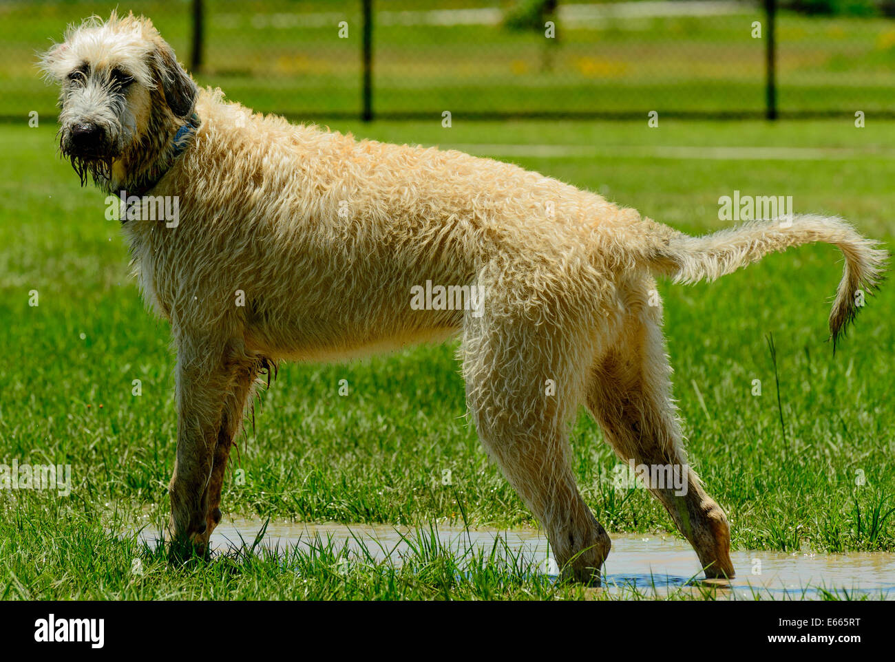 Playing in the mud hi-res stock photography and images - Alamy