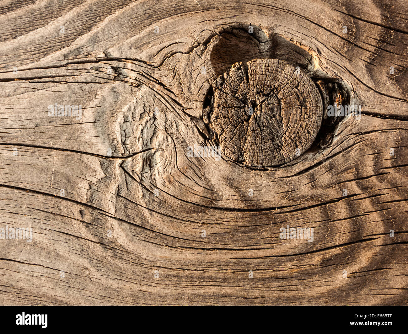 Tree bark knot hi-res stock photography and images - Alamy